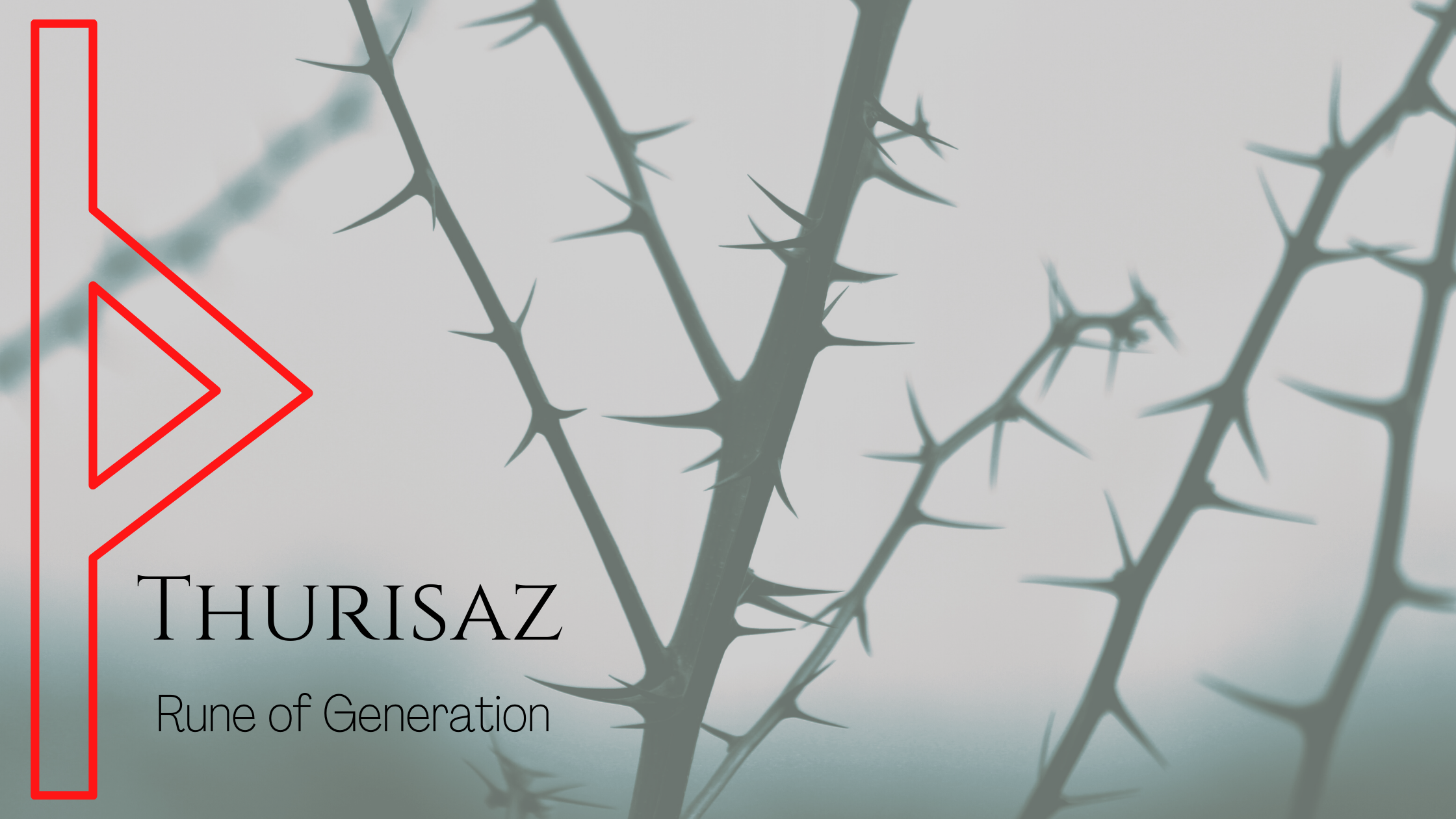 Thurisaz: Rune of Generation – Amstel On The Dam